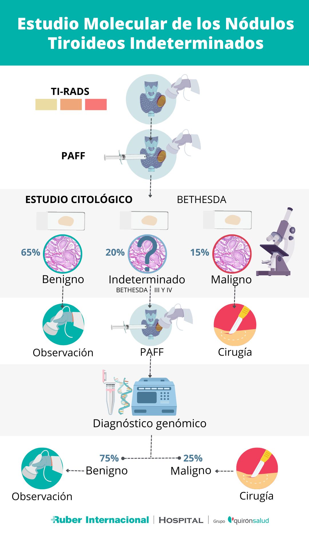 Diagnóstico molecular de los Nódulos tiroideos indeterminados